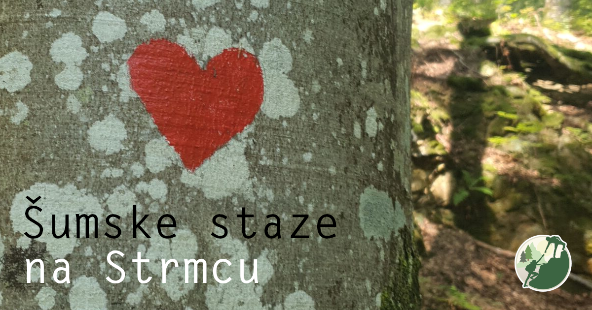 Šumske šetnice na Strmcu – Iggy's Hikes